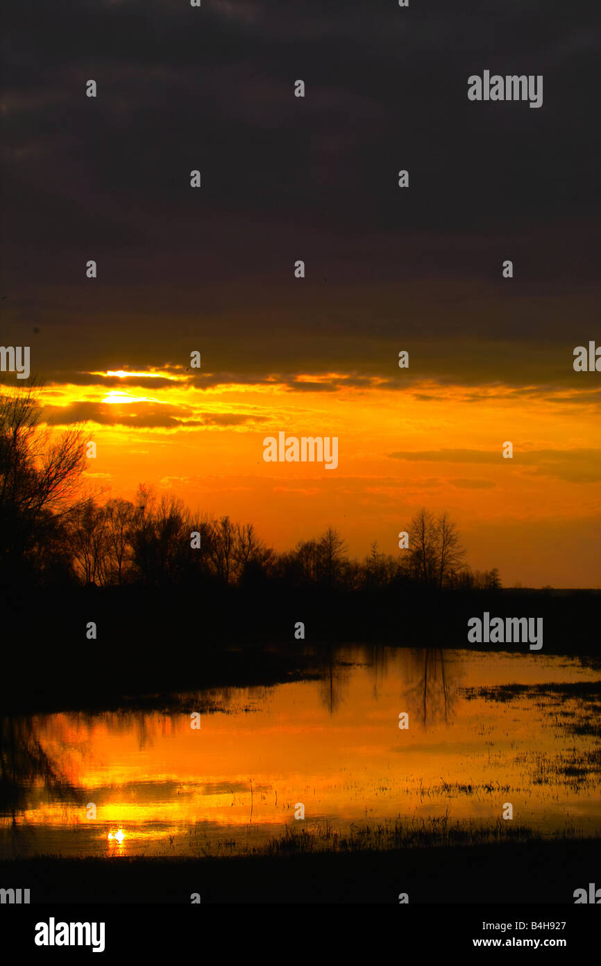 Reflection of the sun and trees hi-res stock photography and images - Alamy