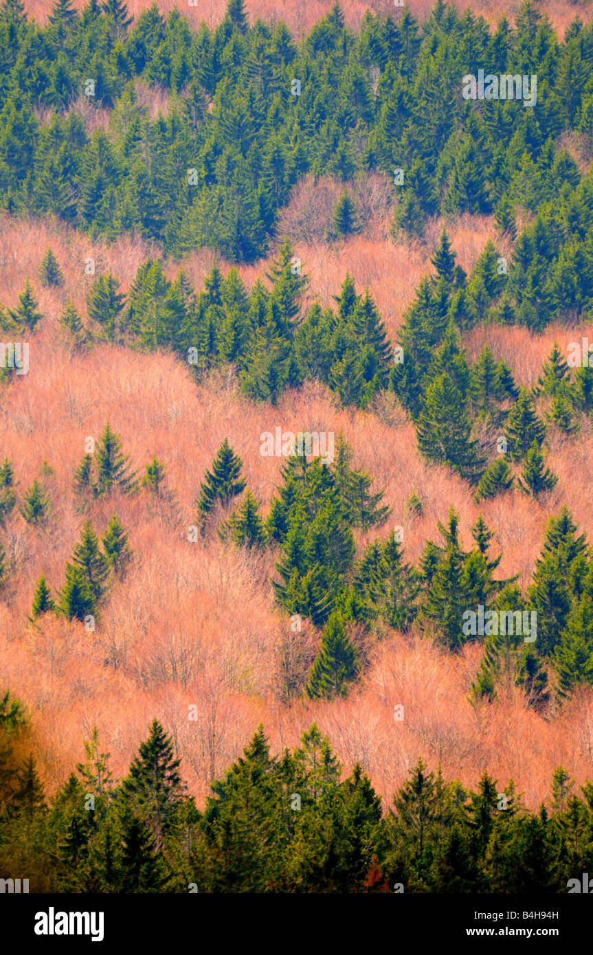 Bavarian crown hi-res stock photography and images - Alamy