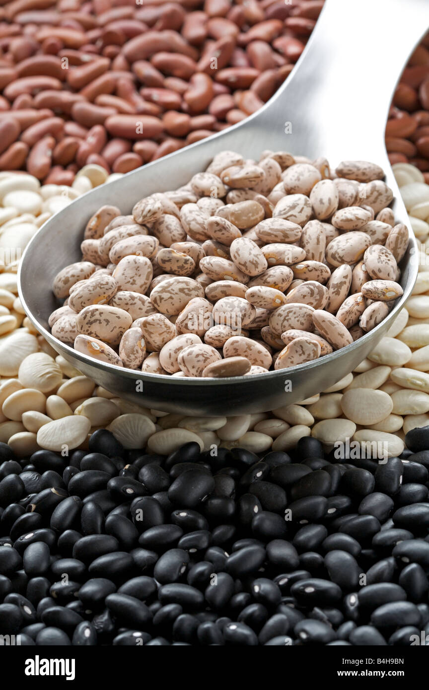 Assorted dried common beans Stock Photo - Alamy
