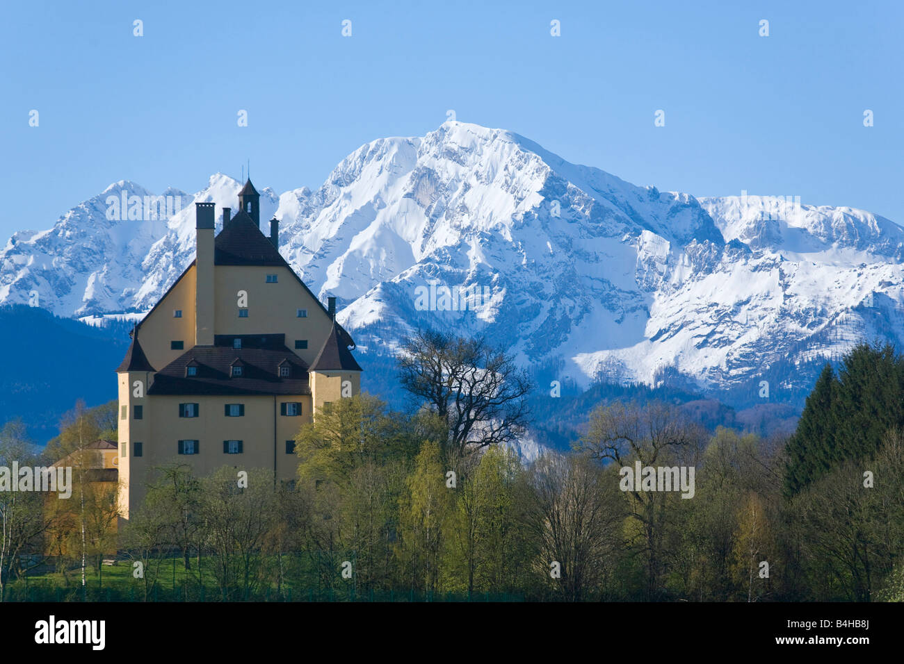 Trees in front of castle, Goldenstein Castle, Elsbethen, Flachgau ...