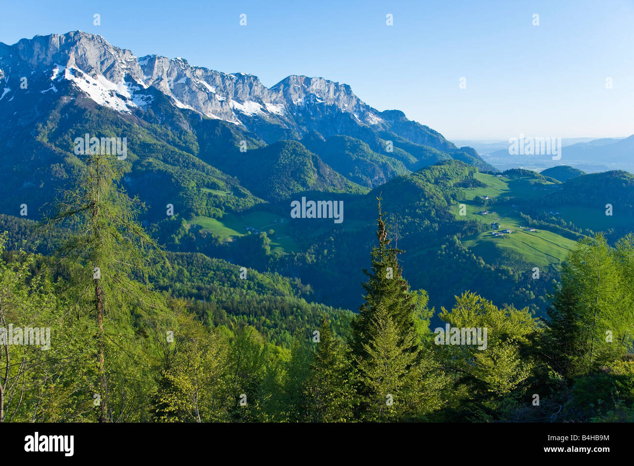 Trees on mountains, Maria Ettenberg, Untersberg, Berchtesgaden Alps ...