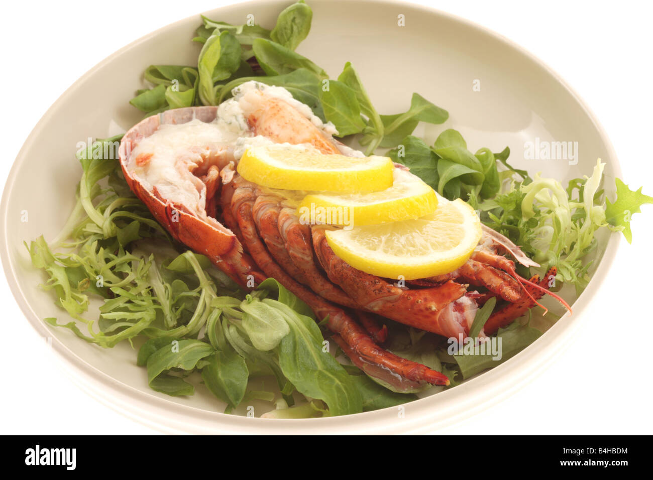 Fresh Delicious Luxury Canadian Dressed Lobster, Prepared And Cooked In ...