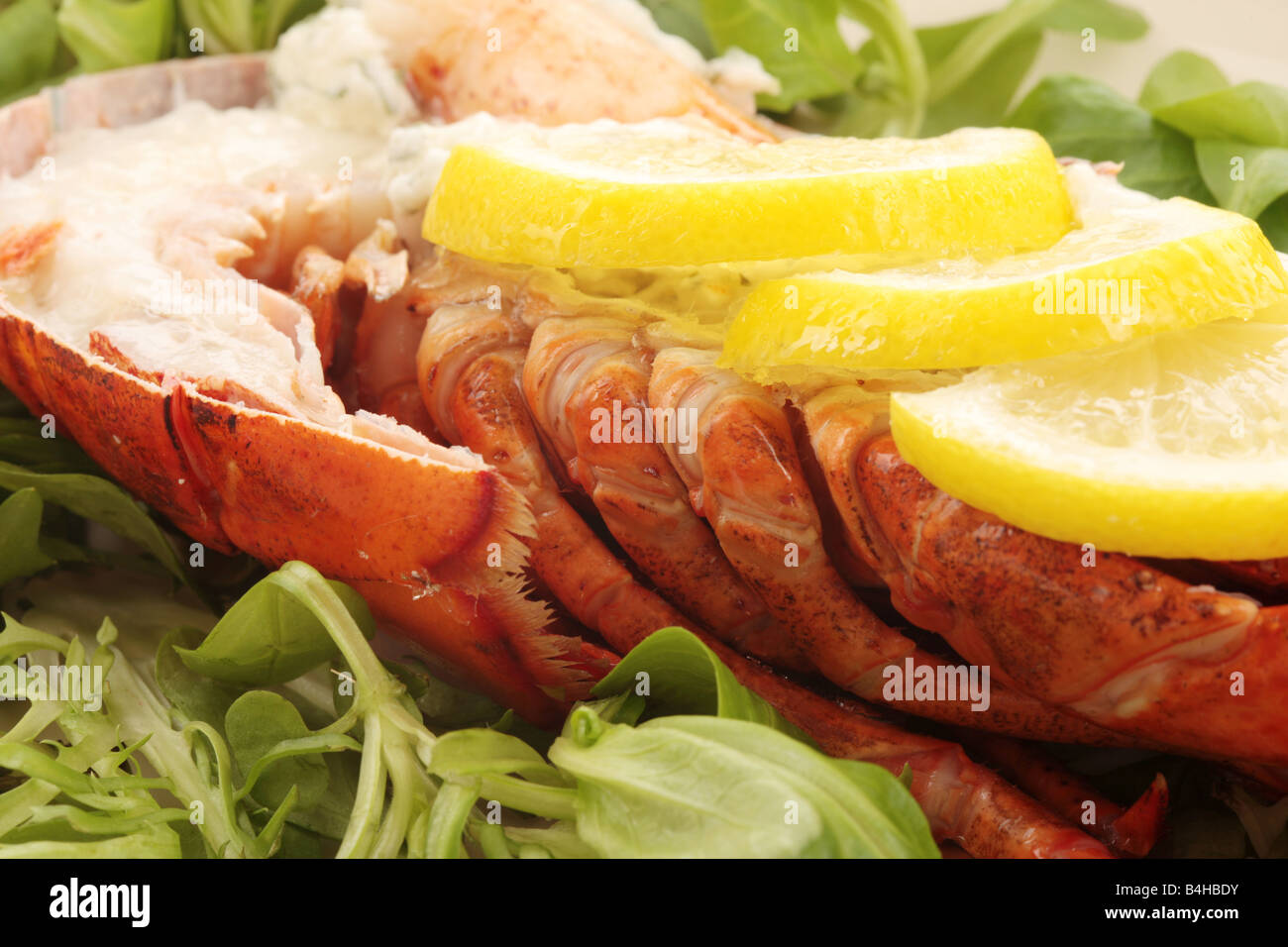 Fresh Delicious Luxury Canadian Dressed Lobster, Prepared And Cooked In ...