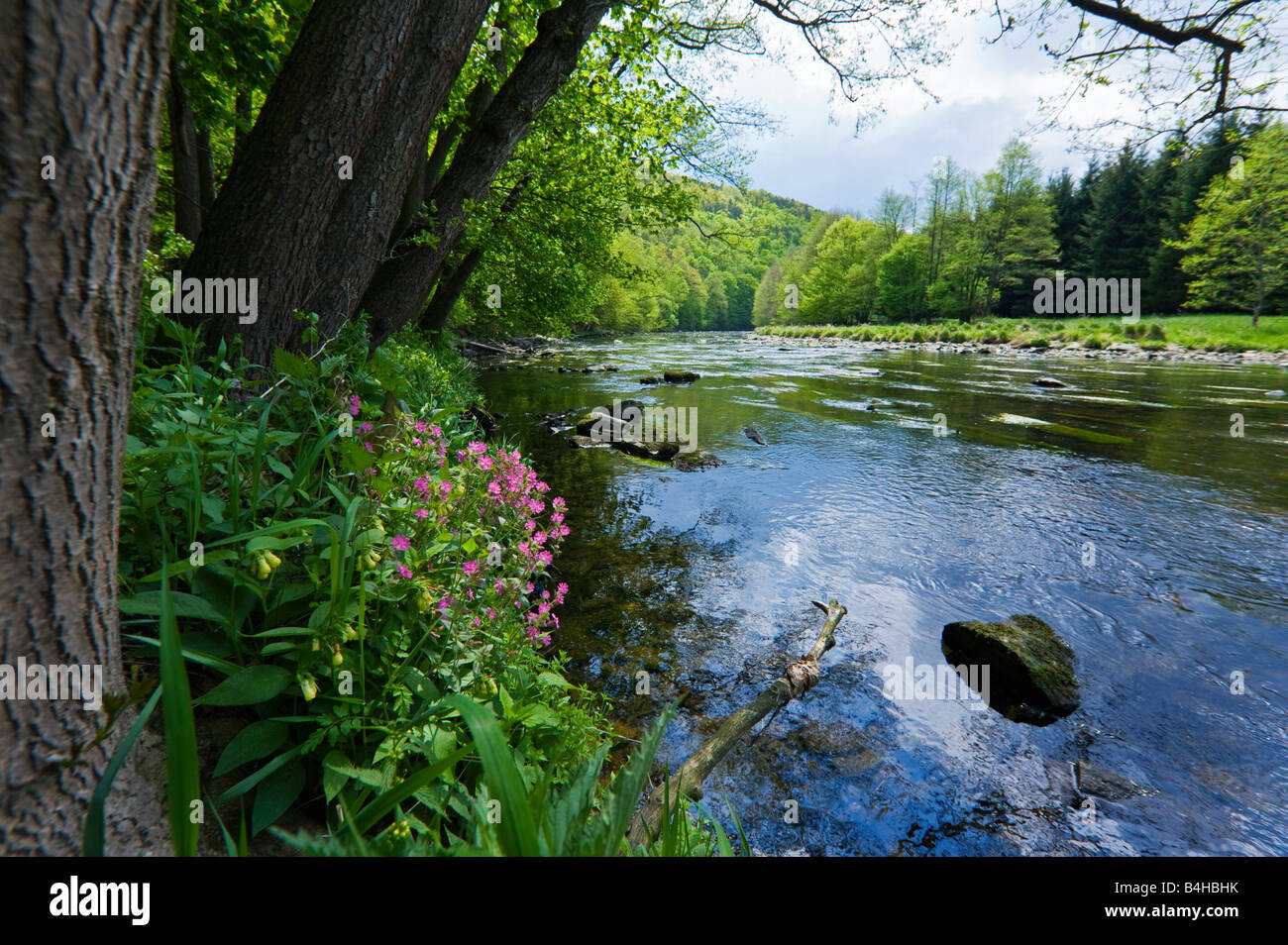 Thaya river national park thayatal hi-res stock photography and images ...