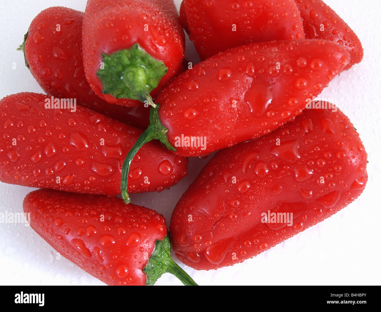 Vibrant wet red mini bell peppers isolated on a white background Stock ...