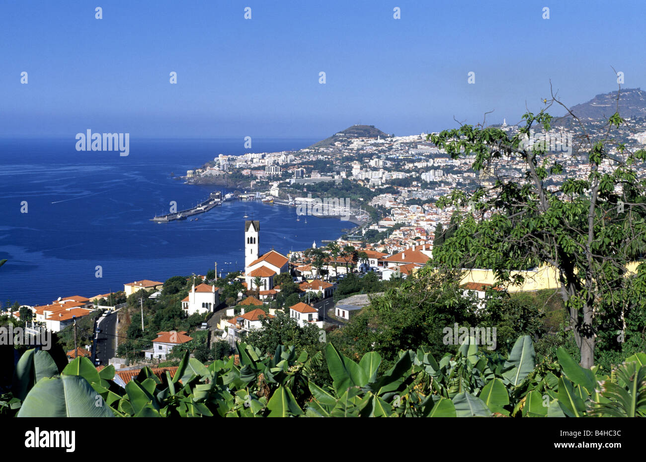Town at coast, Funchal, Madeira, Portugal Stock Photo - Alamy