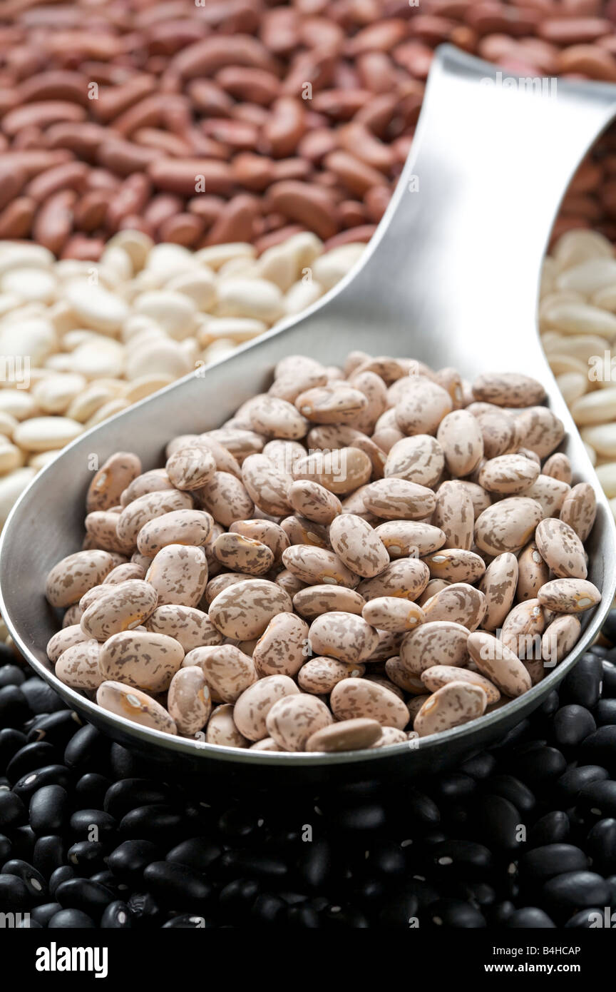 Assorted dried common beans Stock Photo - Alamy