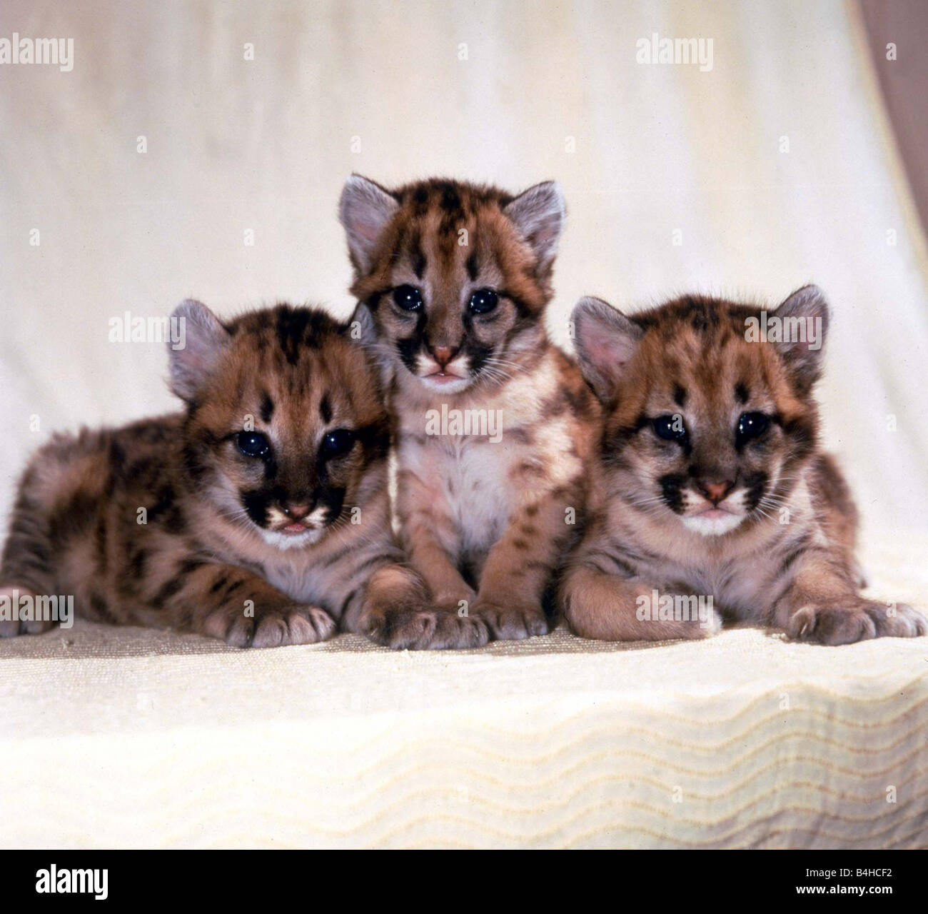 Southam Warwickshire Stock Photos & Southam Warwickshire Stock Images ...