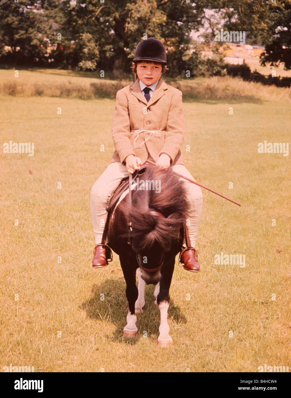 Moorland and Mountain Pony class at hiockstead A young child riding on ...