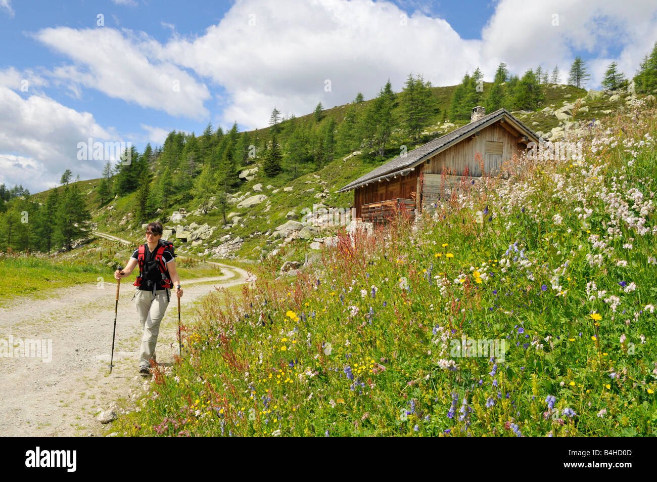 Rural life italy hi-res stock photography and images - Alamy