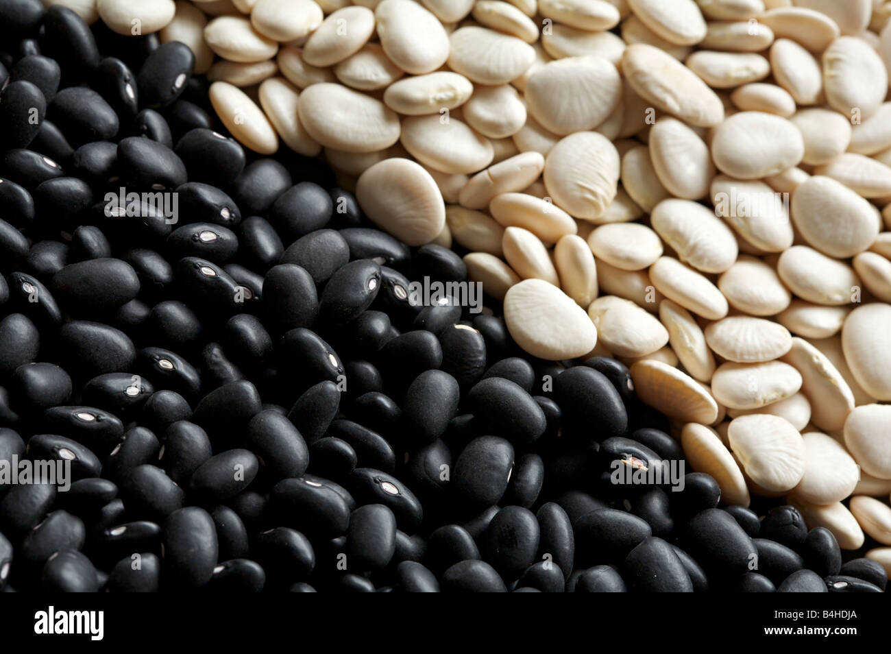 Assorted dried common beans Stock Photo - Alamy