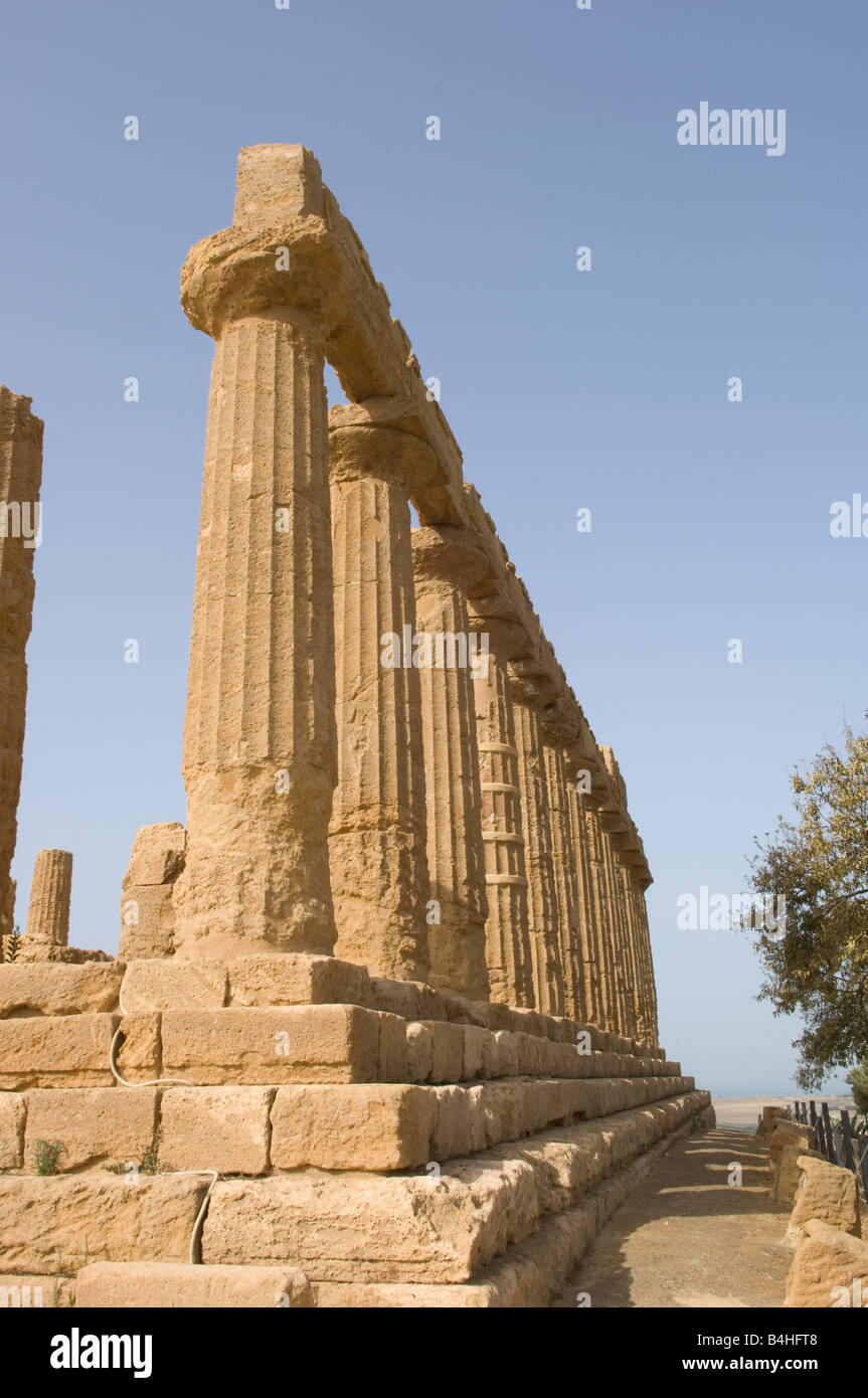 Doric temple of Segesta Stock Photo - Alamy