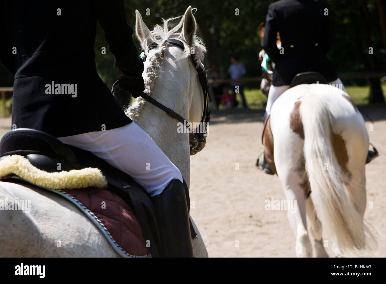 beautiful two horses riding during horse jumping contest Stock Photo ...