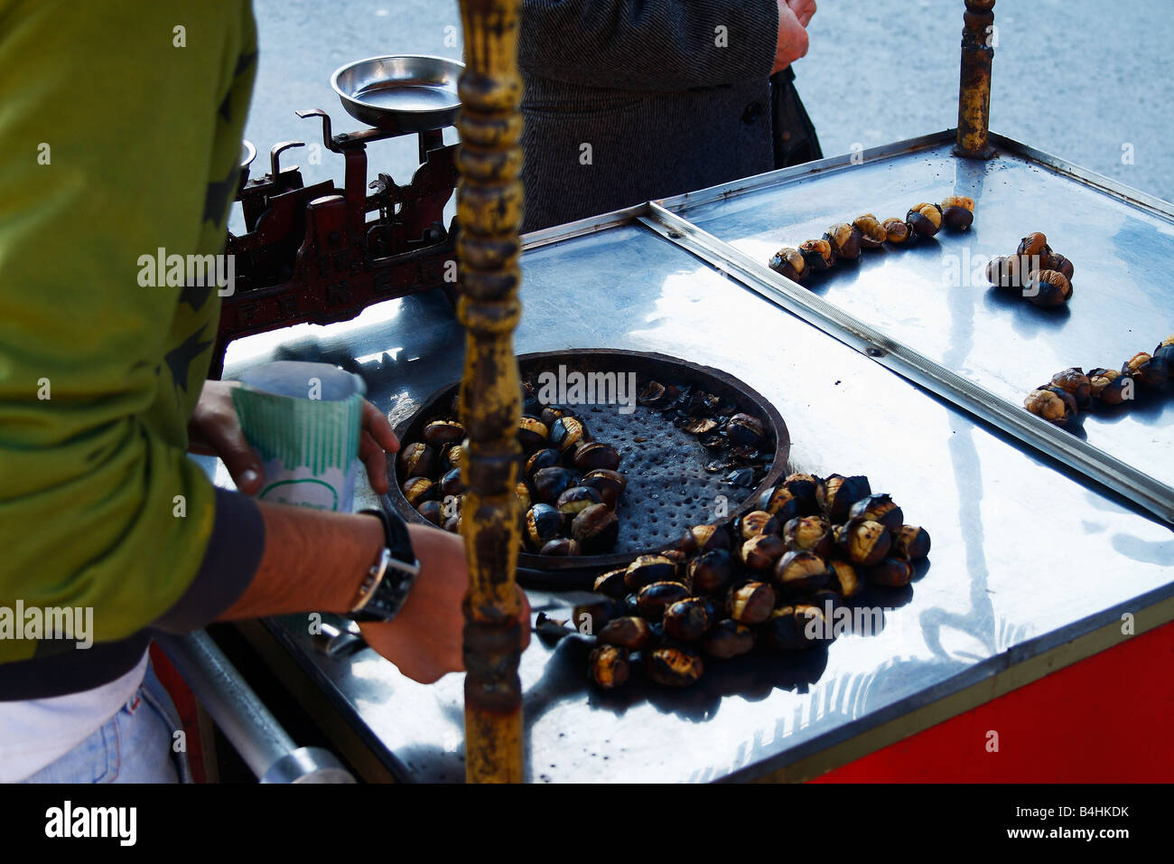Badger eating nut hi-res stock photography and images - Alamy