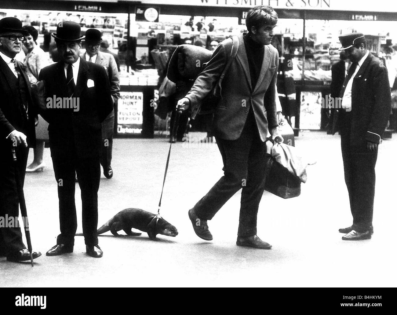 Bill Travers Actor July 1968 with Oliver the Otter Stock Photo - Alamy