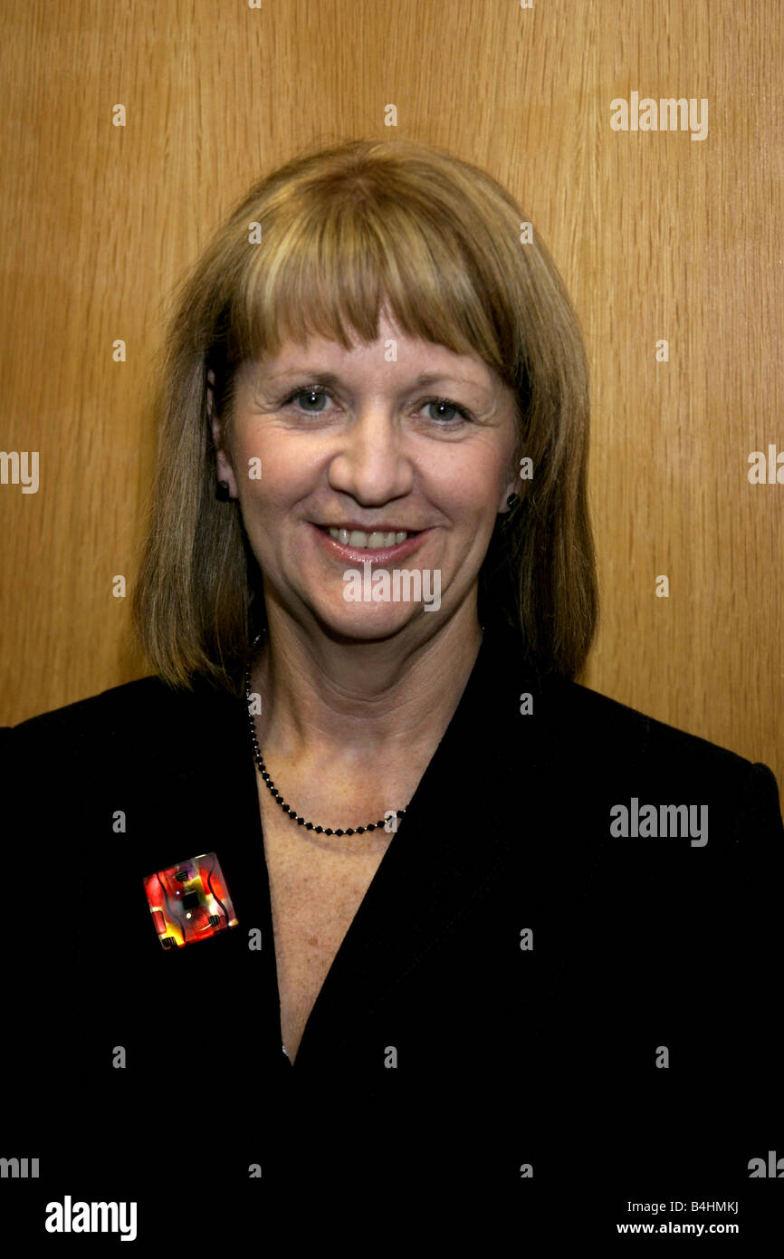 beverley hughes labour mp portrait 08 Stock Photo - Alamy