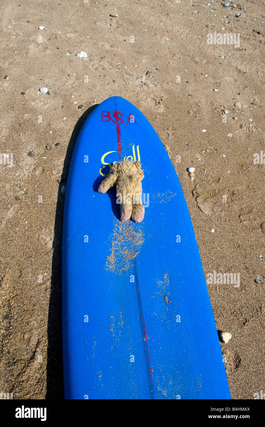 A teddy bear learns to surf on a board in Fistral newquay cornwall ...