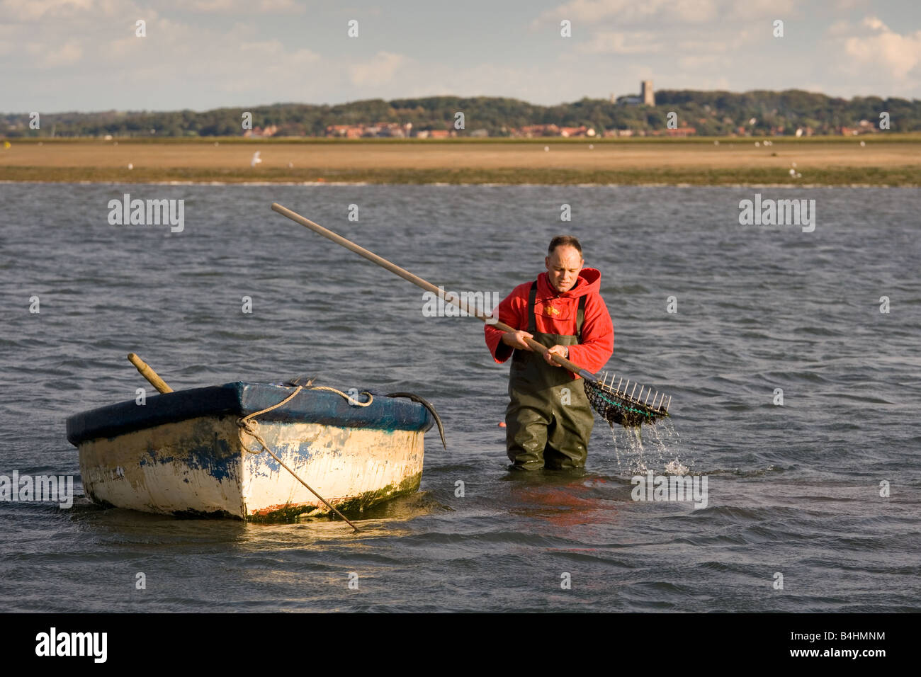 Fisherman harvesting Mussels in Blakeney Harbour Norfolk Stock Photo ...