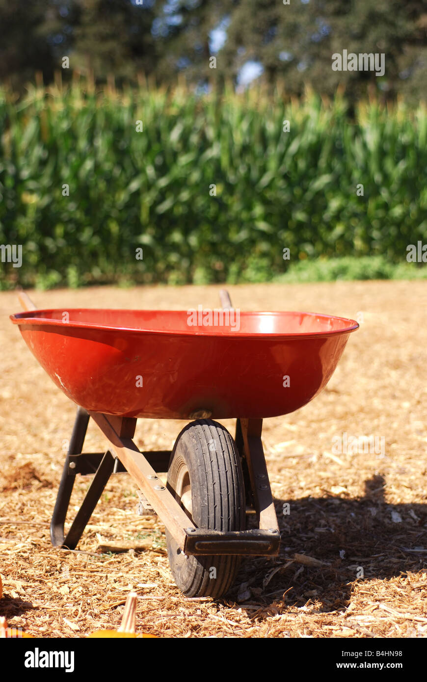 Wheelbarrow on a corn farm Stock Photo - Alamy
