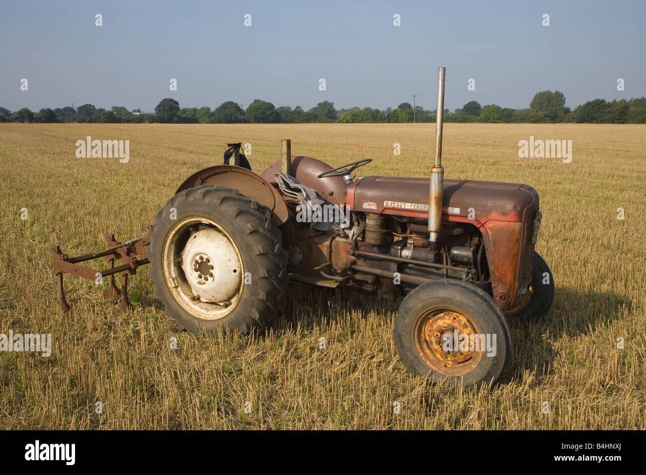 Vintage Massey Fergerson Tractor Norfolk UK September Stock Photo - Alamy