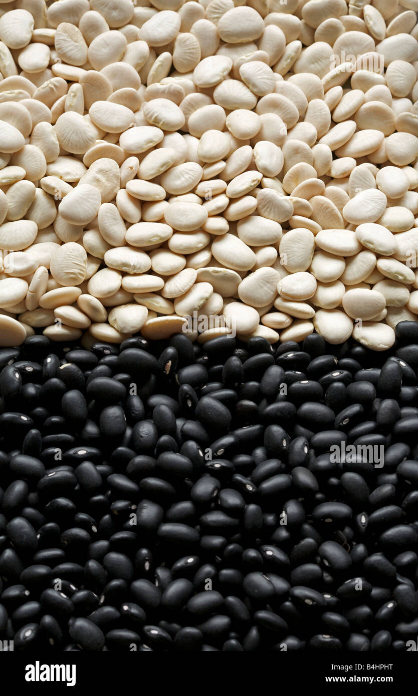 Assorted dried common beans Stock Photo - Alamy
