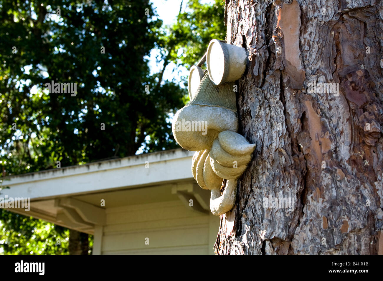 Side view of a face with a moustache on the trunk of a tree Stock Photo ...