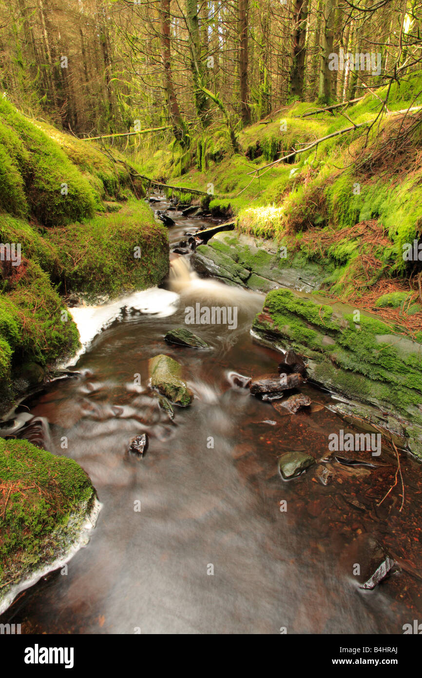 Severn river hafren hi-res stock photography and images - Alamy