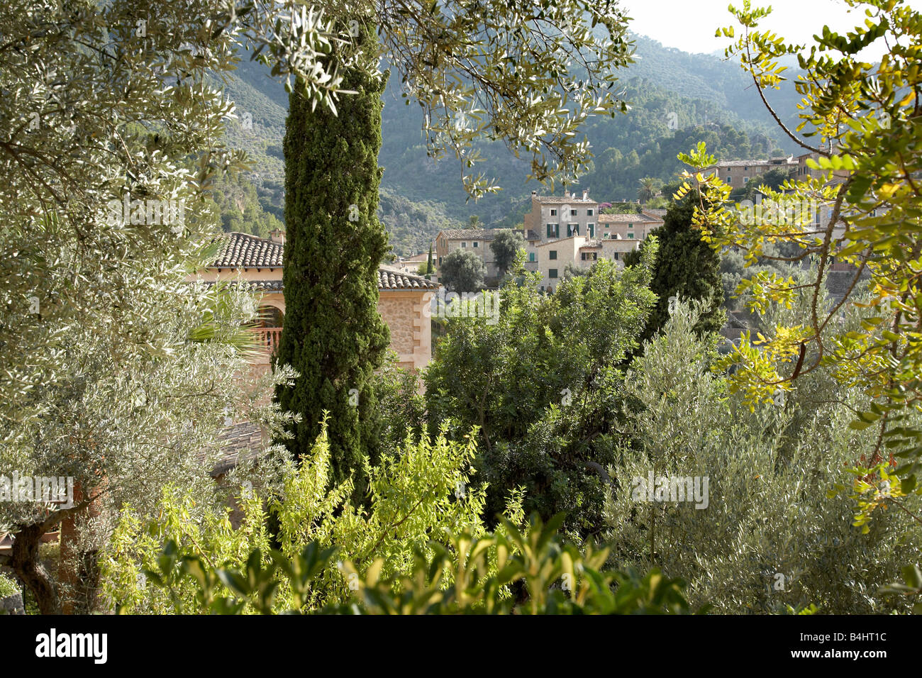 View across the valley at Deia Mallorca Majorca Spain. Trees rooftops ...