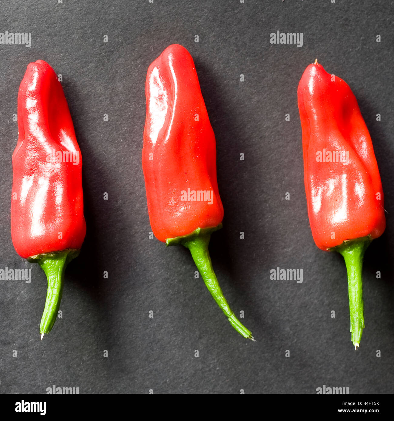 Three red chilli peppers Stock Photo - Alamy