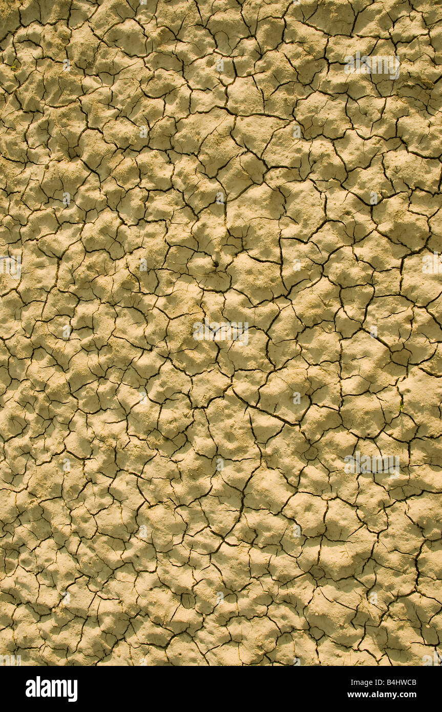 Infertile Soil High Resolution Stock Photography and Images - Alamy