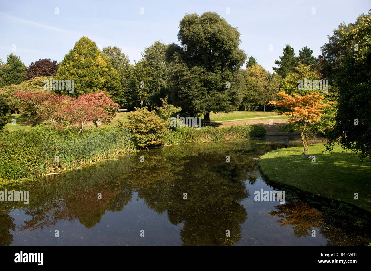 Syon House Park Gardens London England Stock Photo - Alamy