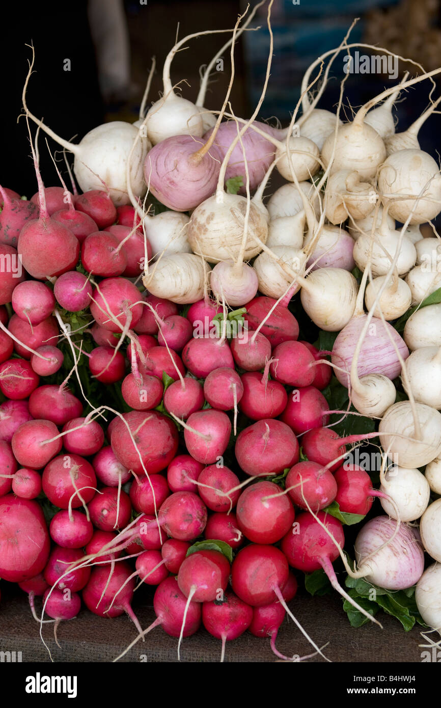 Radishes Market Stall Istanbul Turkey Stock Photo - Alamy