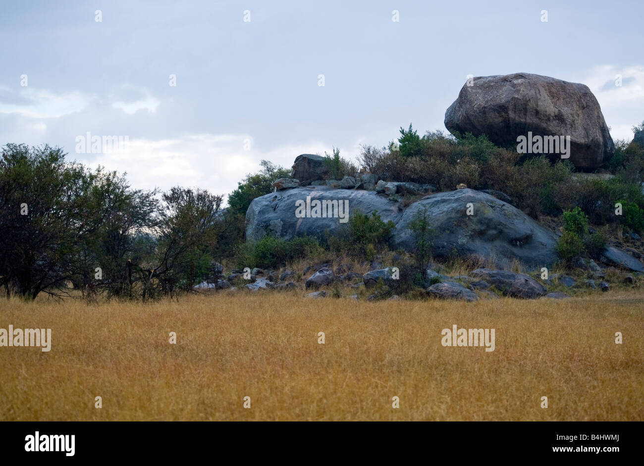 Tanzania Serengeti National Park Lobo area the typical granitic rocks ...