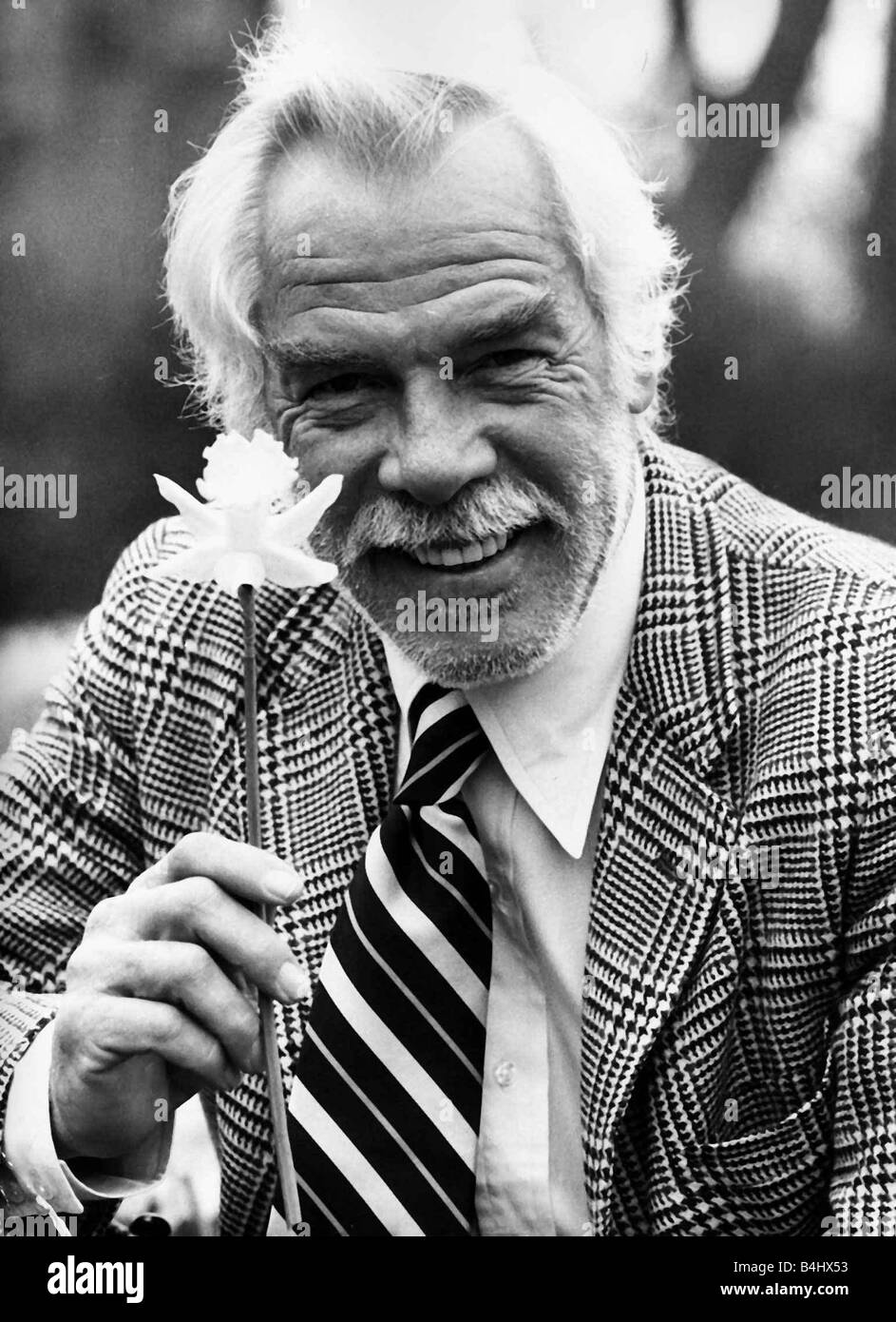 Lee Marvin American actor holding daffodil 1975 Stock Photo - Alamy