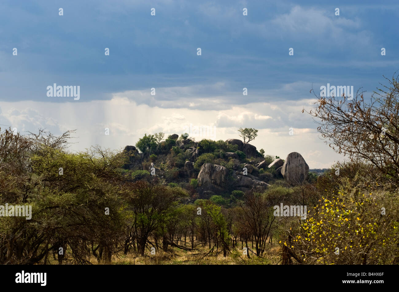 Tanzania Serengeti National Park Lobo area the typical granitic rocks ...