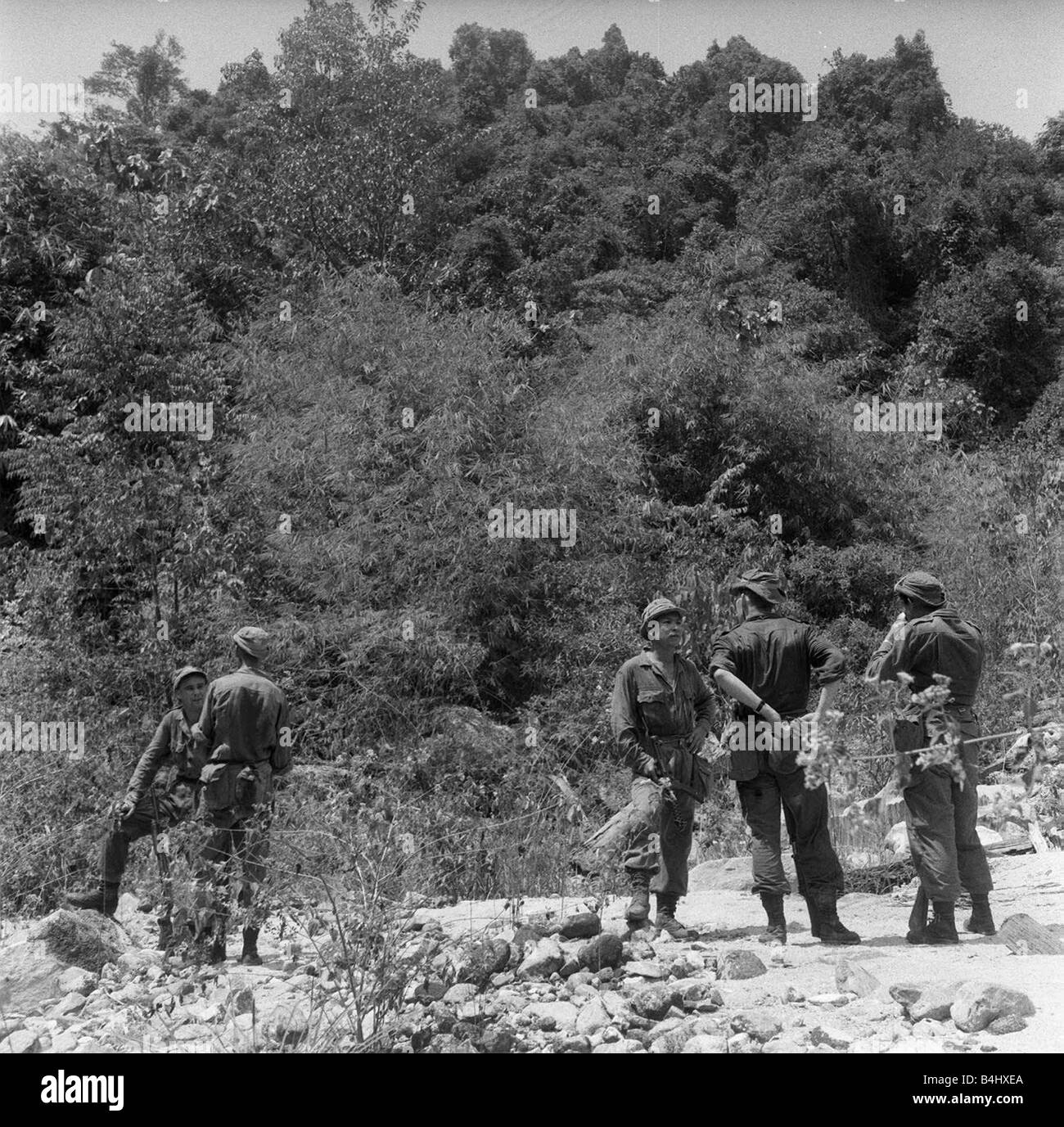 British jungle camouflage hi-res stock photography and images - Alamy