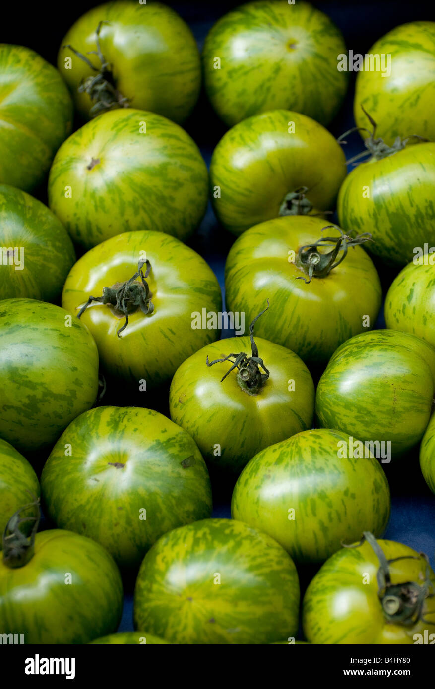 organic green tomatoes on market stall Stock Photo - Alamy