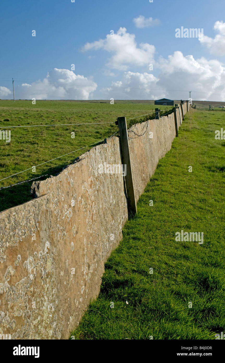 Caithness Flagstone used as a wall for retaining farm stock Northern ...