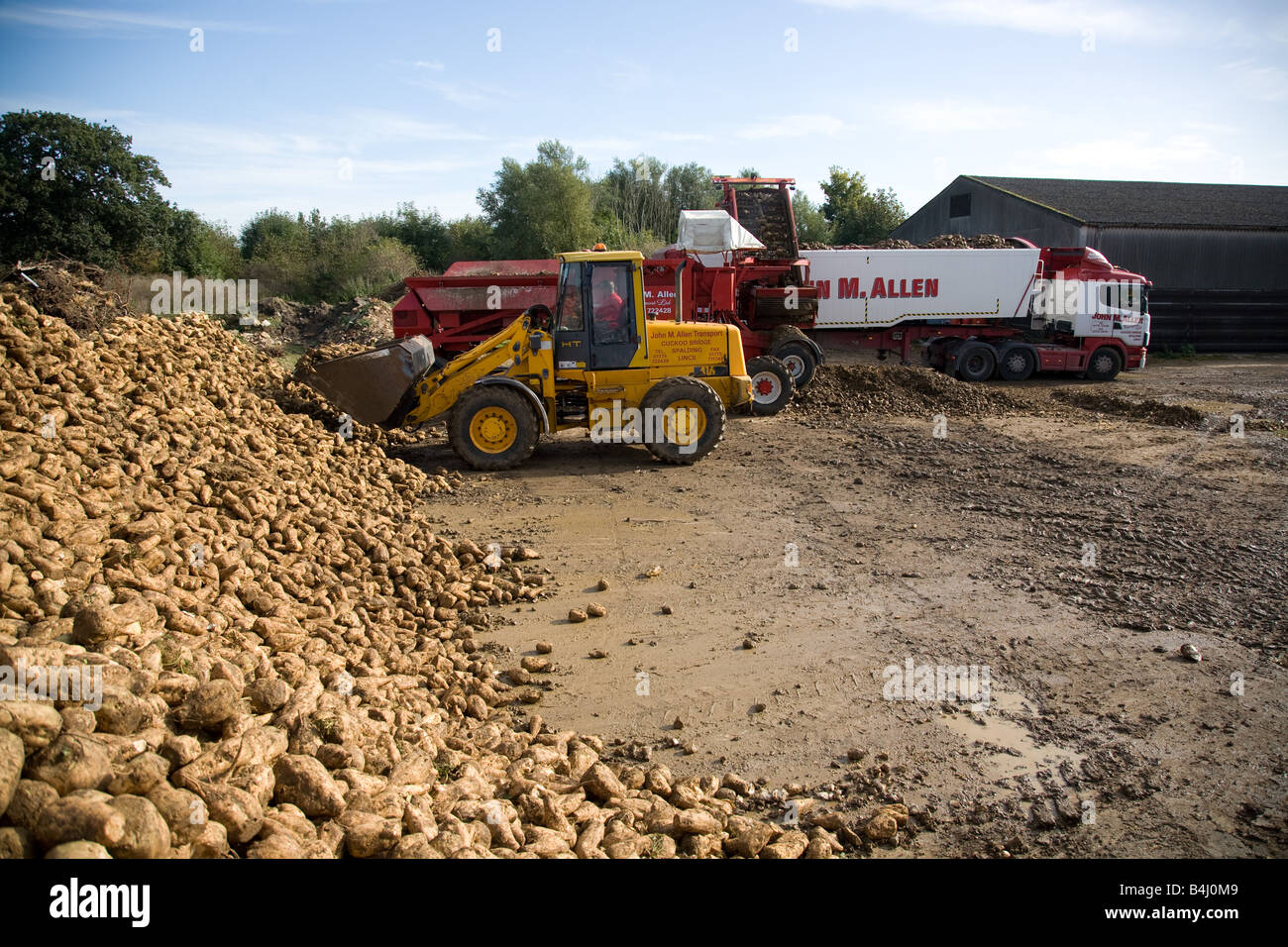 Sugar beet lorry hi-res stock photography and images - Alamy
