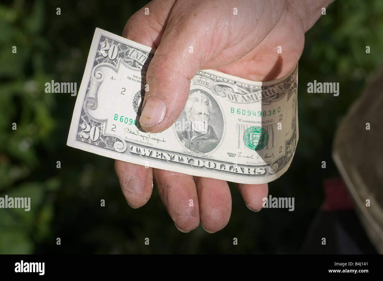 Hard hand holding a twenty-dollar note Stock Photo - Alamy