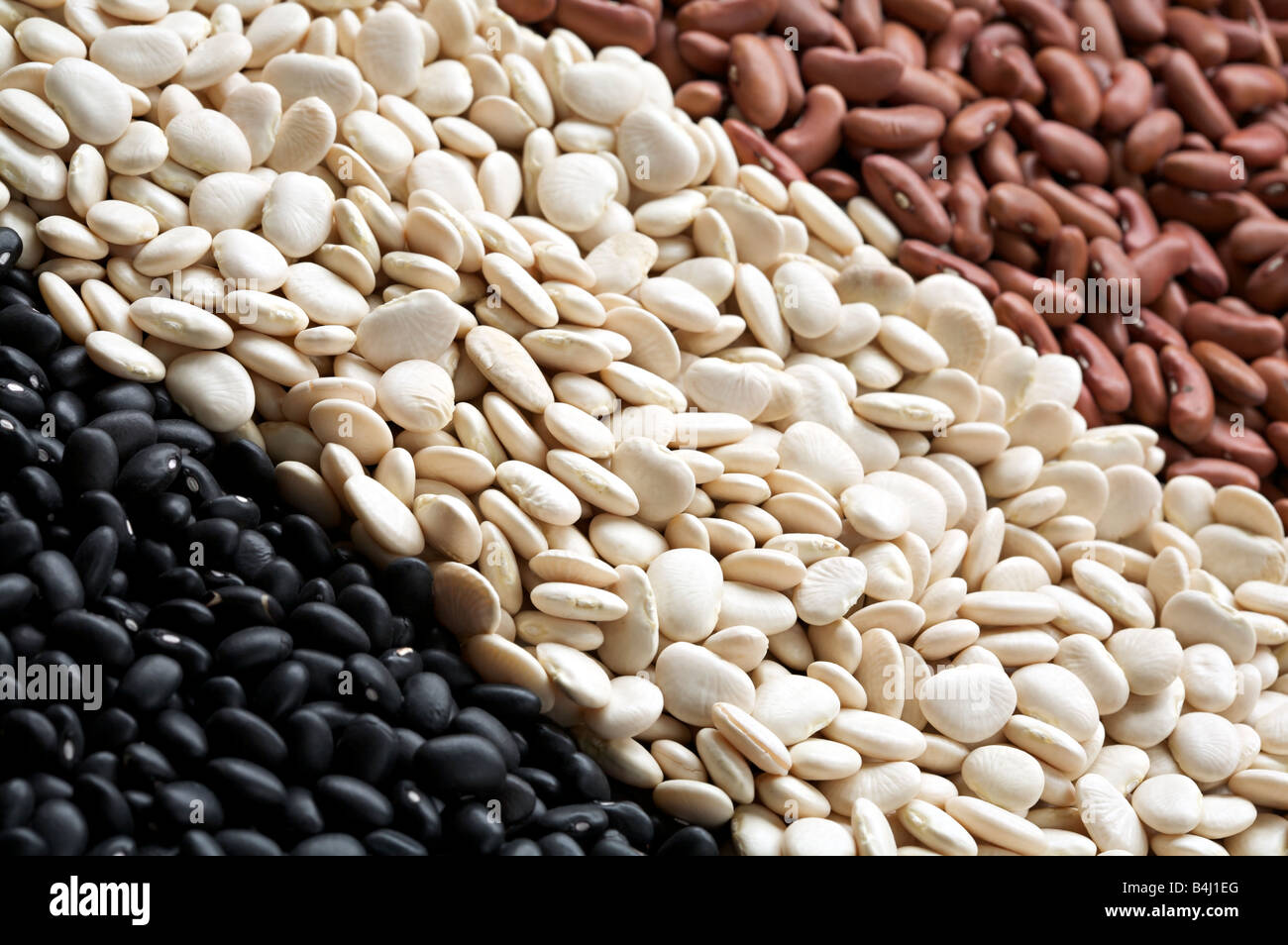 Assorted dried common beans Stock Photo - Alamy
