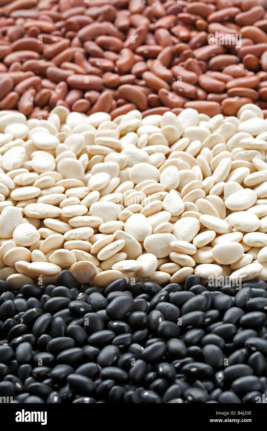 Assorted dried common beans Stock Photo - Alamy