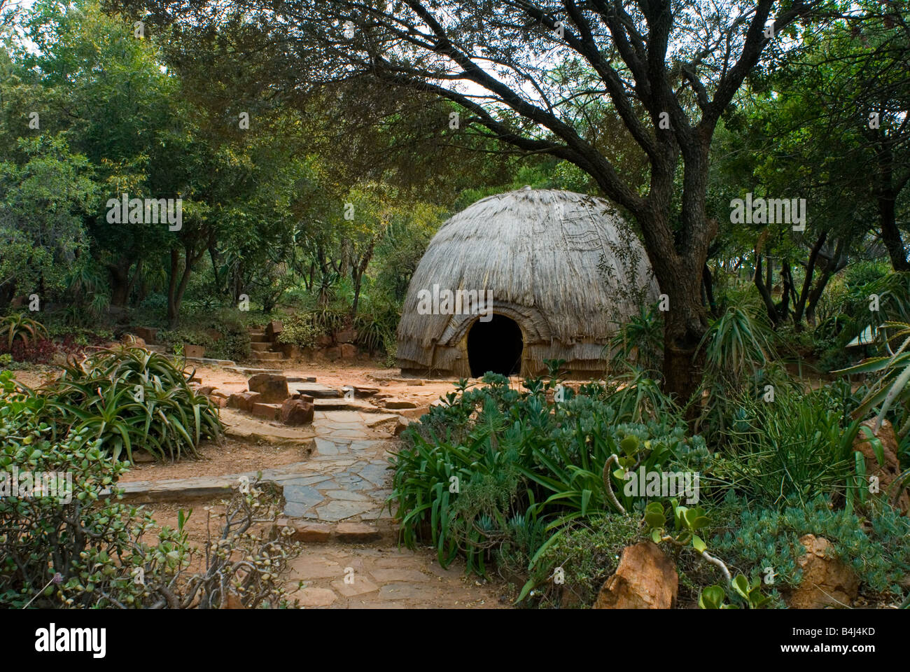 Zulu hut in beautiful African Bush Stock Photo - Alamy