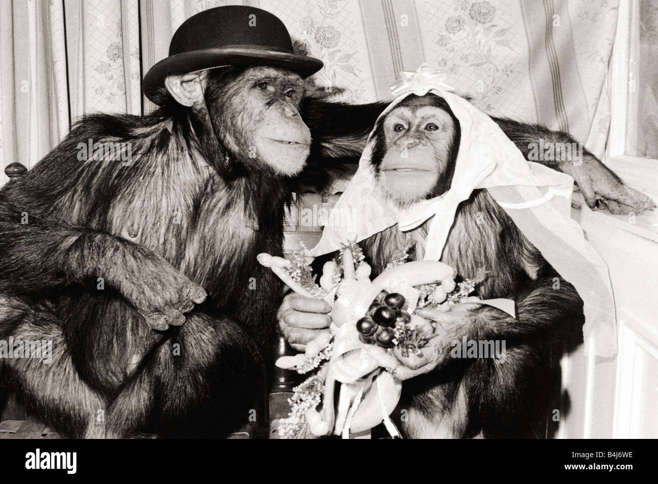 Carrying a bouquet hi-res stock photography and images - Alamy