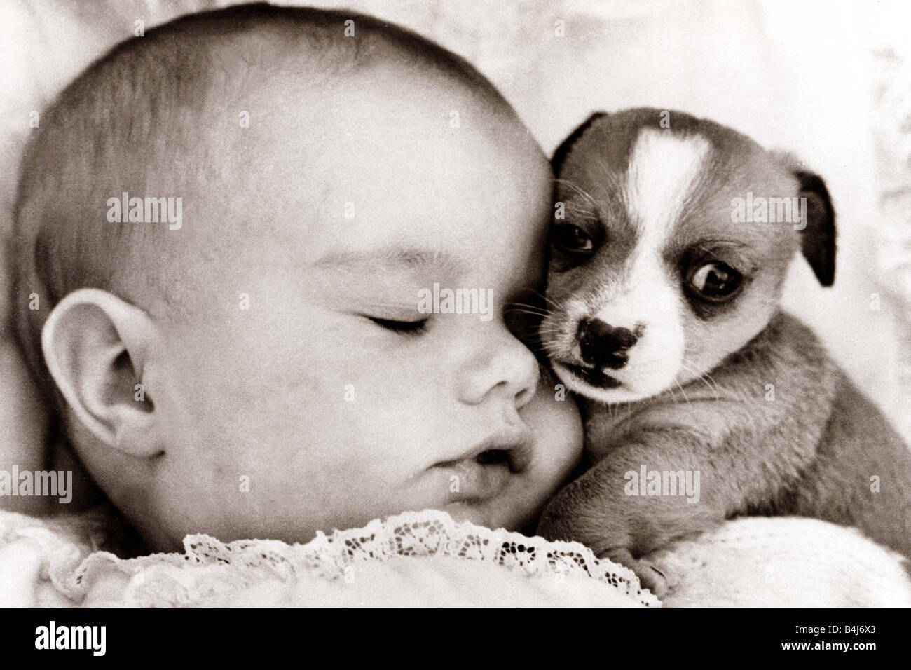 Baby sleeps with cute puppy circa 1965 Stock Photo - Alamy