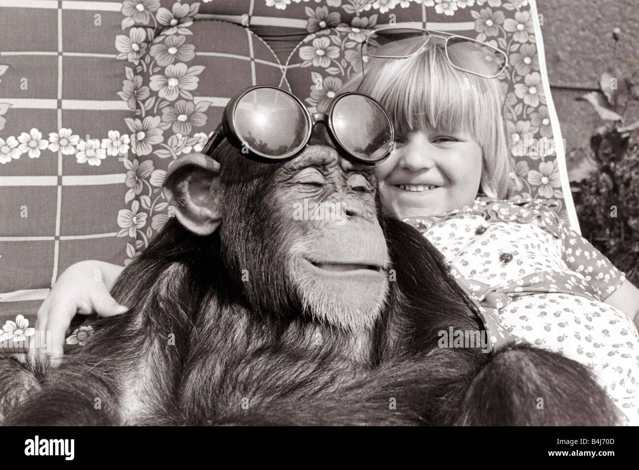 Chimp smiling hi-res stock photography and images - Alamy
