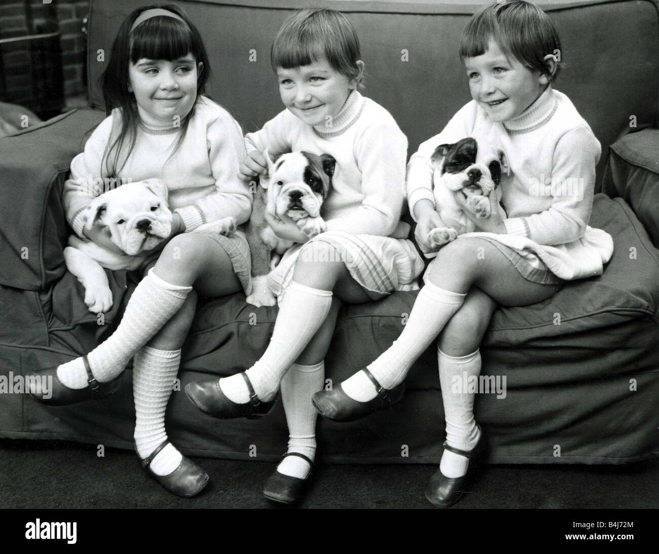Children Animals Dogs Bulldogs Two sets of triplets Clare Allison and ...