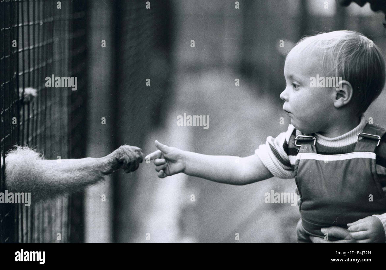 James Harrison 17 months old reaches out for the hand of a monkey at ...