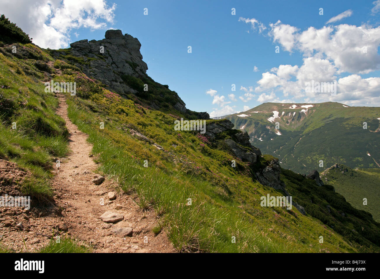 summer mountain view and pathway go up Stock Photo - Alamy