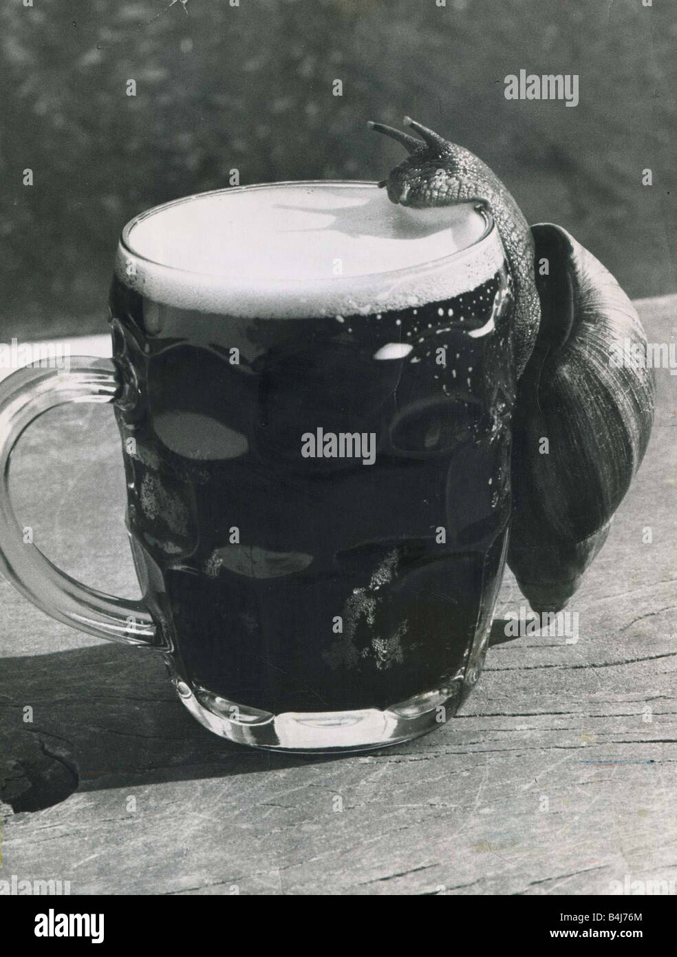 Pitcher with animals hi-res stock photography and images - Alamy